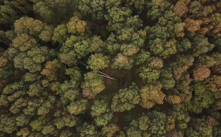 Danish Design furniture for your home - UMAGE – UMAGE US